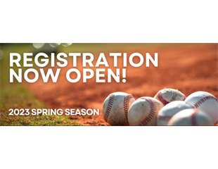 Home [www.moonbaseball.com]